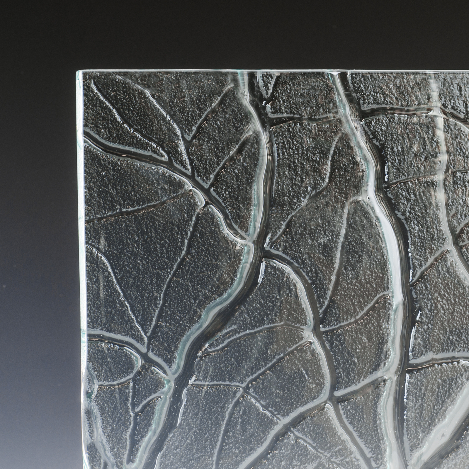 Delta Textured Glass is perfect for your next architectural building ...