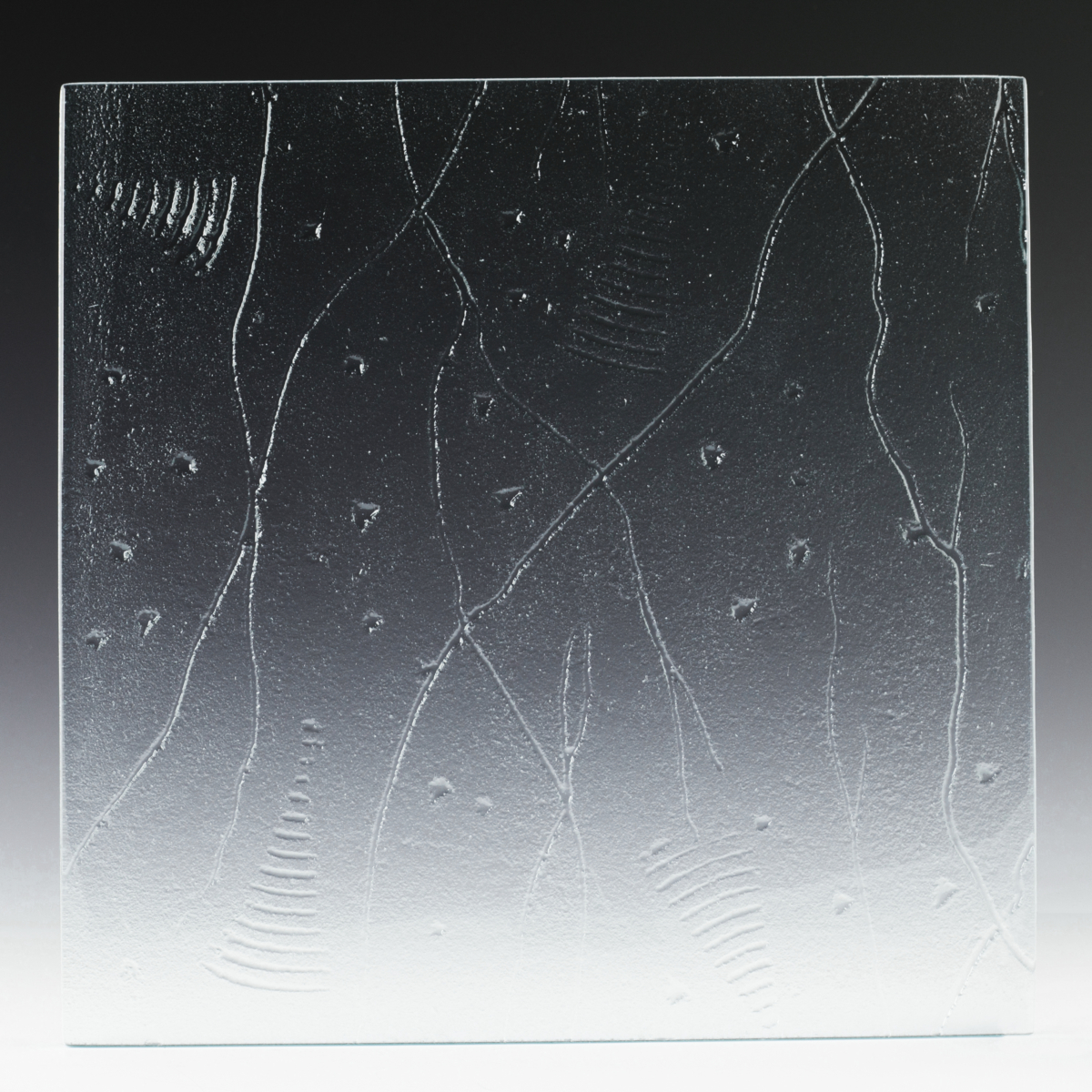 Miranda Textured Glass for your next glass building project | Thick Glass